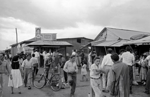 Candango: o desbravador do Planalto Central – Bernadete Alves