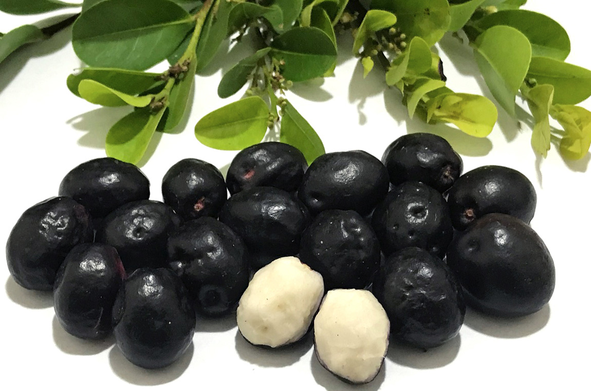 Ajurú Preto: fruta deliciosa com poderes hipoglicemiantes – Bernadete ...