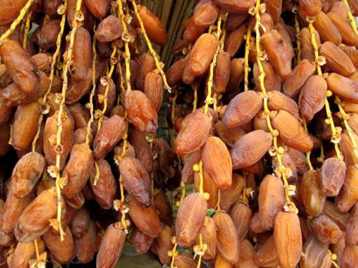 Tâmara: conheça os benefícios desta fruta saborosa – Bernadete Alves ...