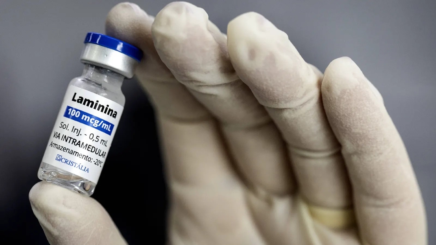 Polilaminina – substância para regenerar lesões medular tem estudo ...